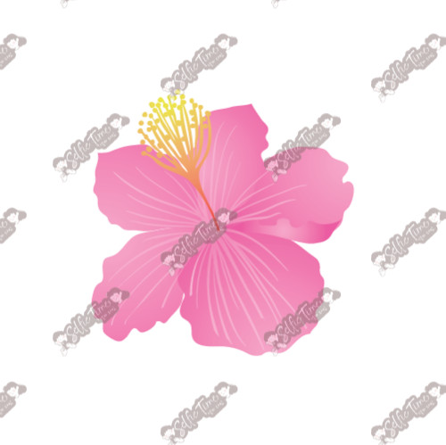 Frame Catalog | No. 1 Korean Photobox & Self Studio